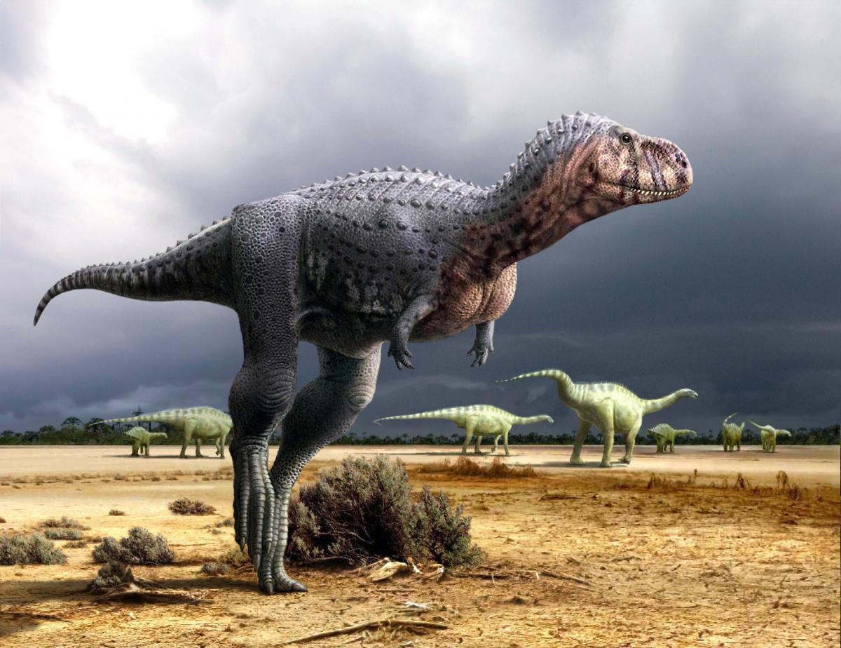 10 Famous Australian Dinosaurs | Paleontology World
