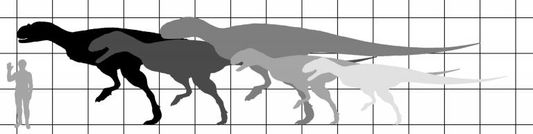 Pycnonemosaurus | Paleontology World