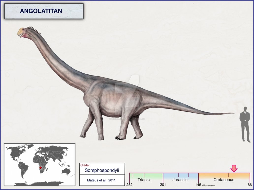 Angola's Namibe Among World's Best Places to Study Fossils ...